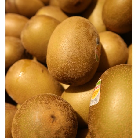 Kiwi Jaune, La Pièce