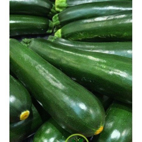 Courgettes, 500g
