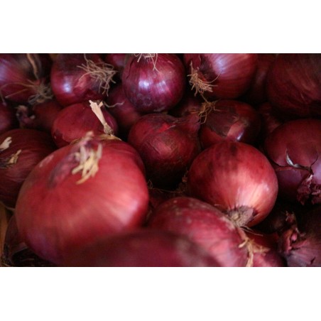 Oignons Rouges, 1 Kg