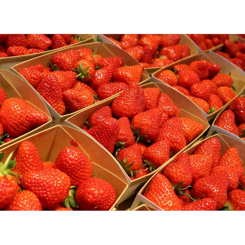 Fraise Cléry, 500g