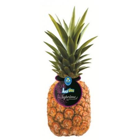 Ananas Sweet, la pièce