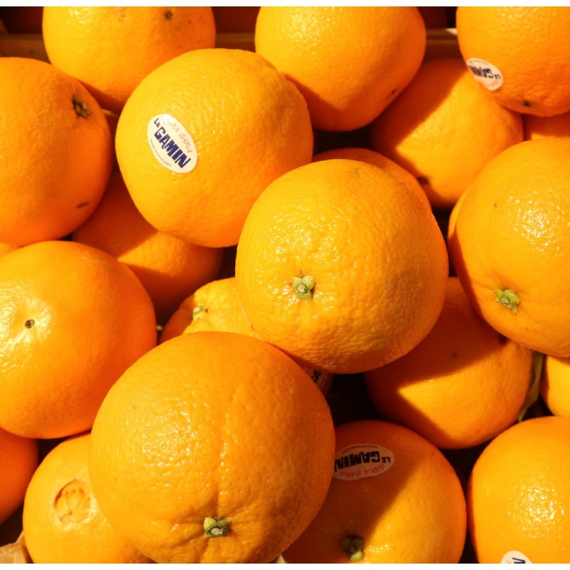 Fruits